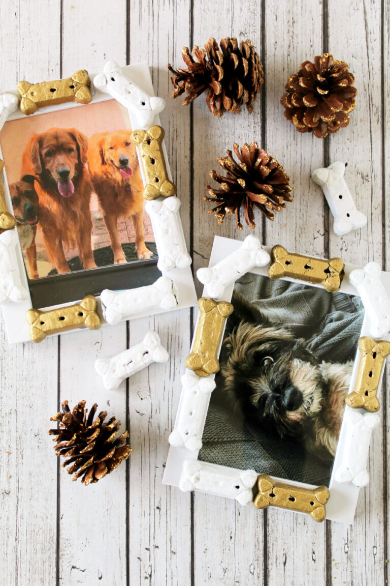 DIY Dog Bone Picture Frame — Holoka Home