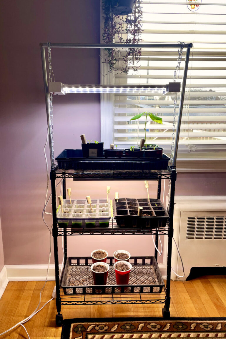How to Build Grow Light Shelves on a Budget — Holoka Home